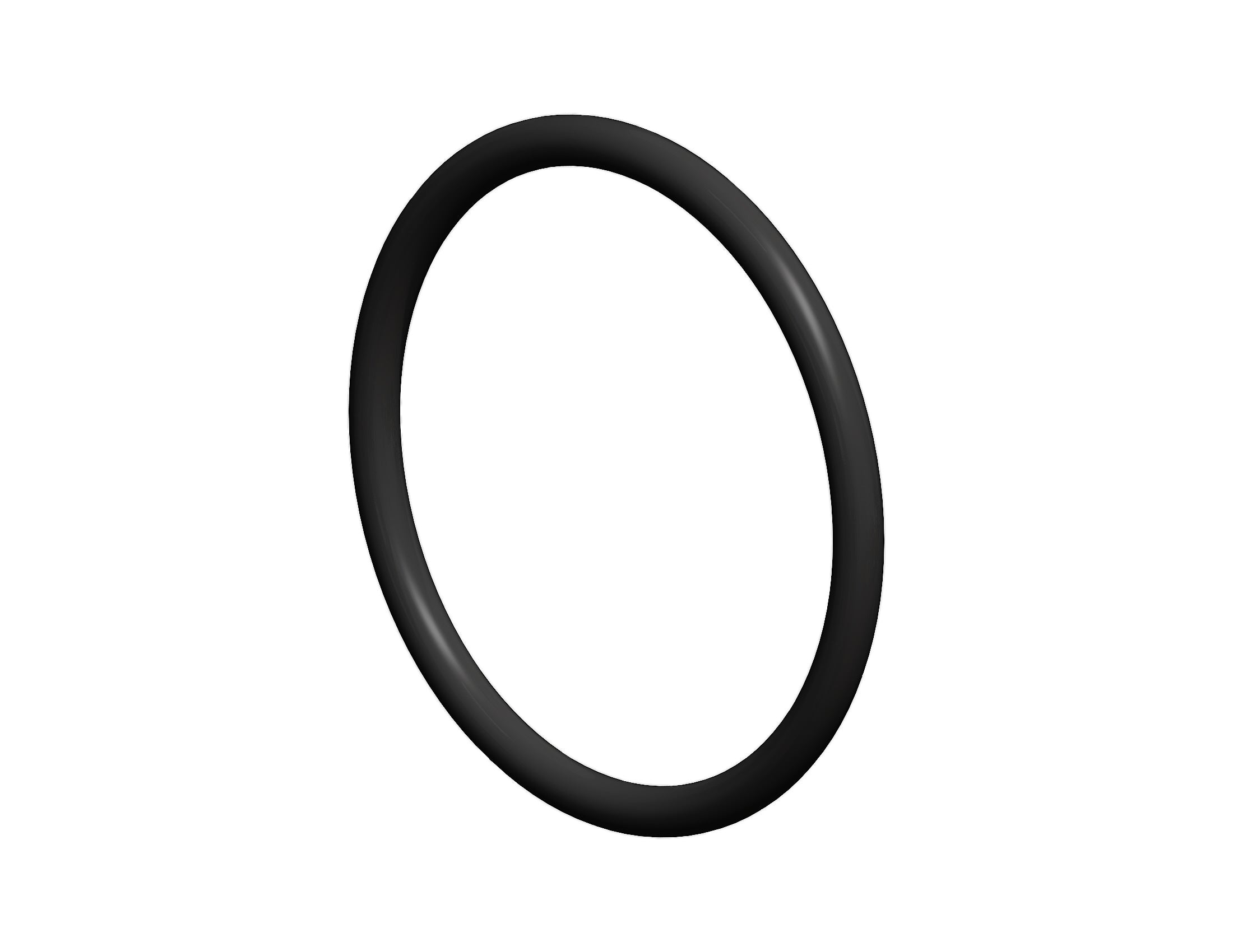 Landing Ring O-Ring – Drillware Tools